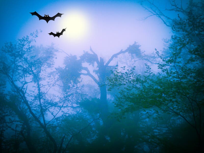 Mysterious forest in fog stock photo. Image of horror - 75885368