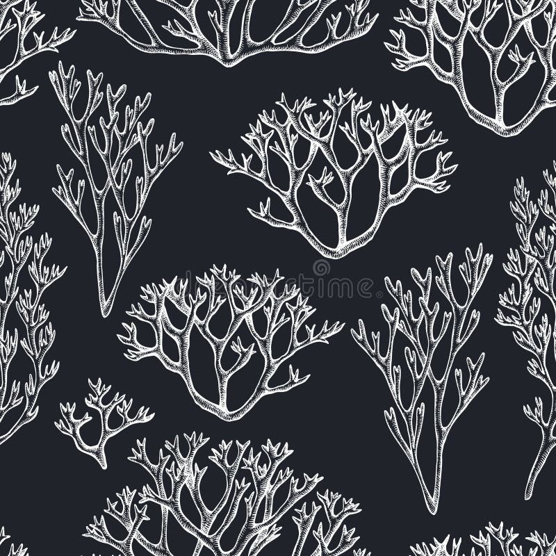 Mysterious Forest Seamless Pattern Background Design. Engraved Style ...