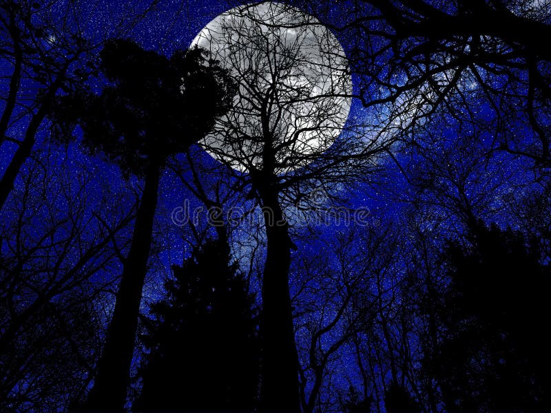 Mysterious Full Moon and Forest Stock Image - Image of mood, galaxy ...