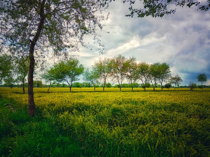 Mysterious Greenfield Wallpaper Stock Image - Image of panorama, beauty ...