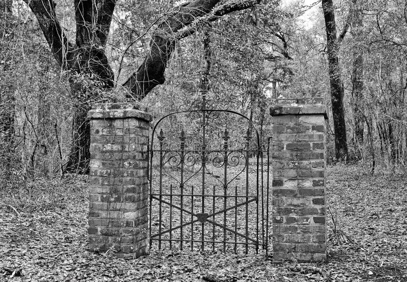 Mysterious Iron Gate in the Woods Stock Photo - Image of autumn, brick ...