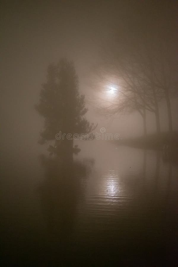 Mysterious Landscape with the Moon, Trees and Water Stock Photo - Image ...