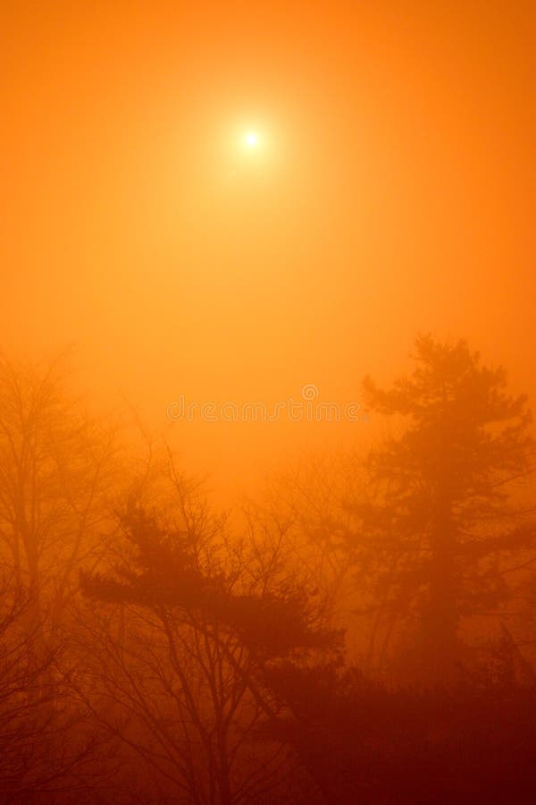 Mysterious mist stock image. Image of dramatic, droplets - 4449195