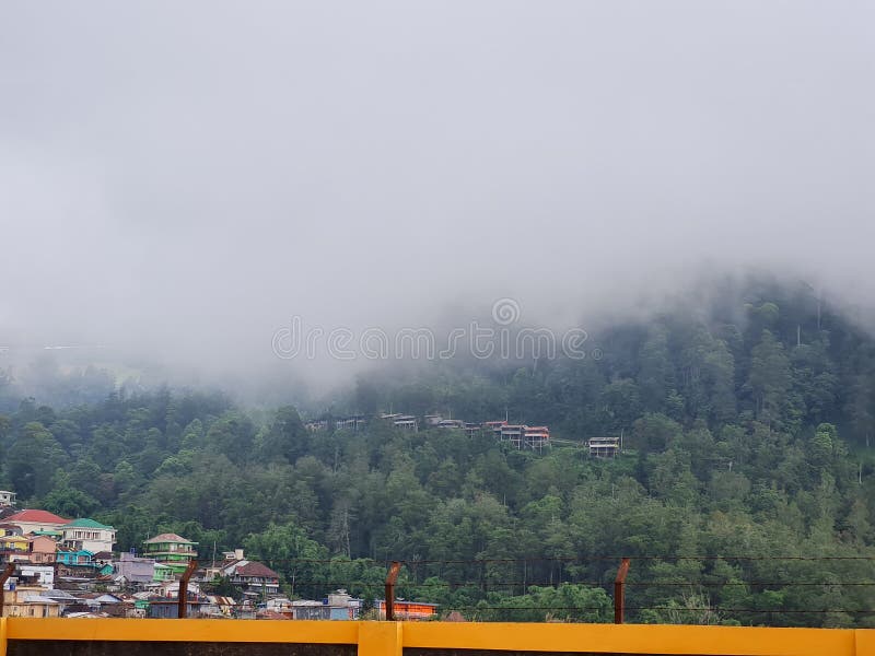 Mysterious mist go down stock photo. Image of morning - 262352454