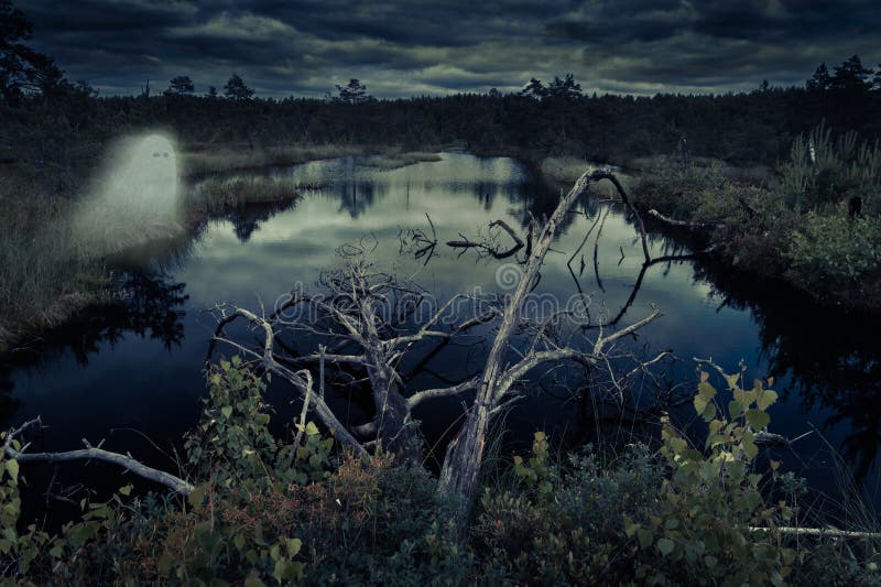 Mysterious Night Forest and Ghost Stock Photo - Image of panorama, moor ...