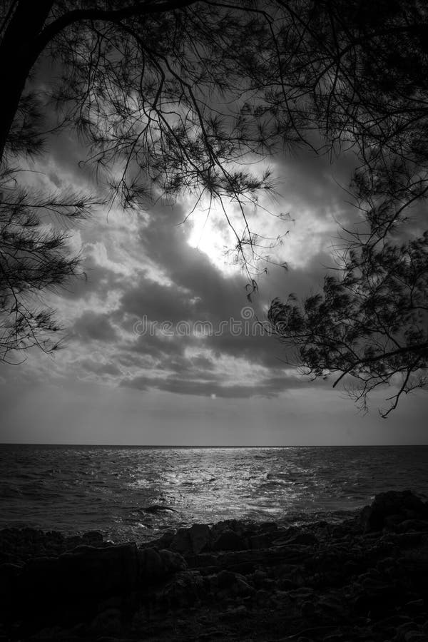 Mysterious Night Scenery Stock Photos - Download 2,858 Royalty Free Photos