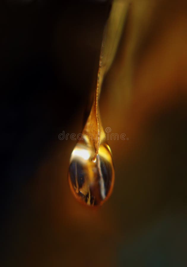 Mysterious Orange Drop Like Amber in Dark Stock Photo - Image of water ...