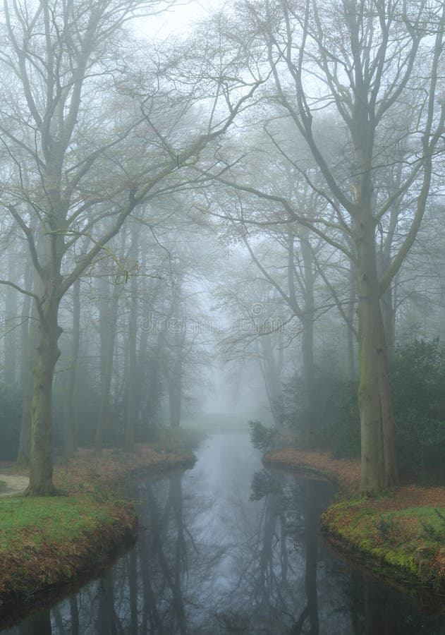 Mysterious pond stock image. Image of depressed, horror - 53267523