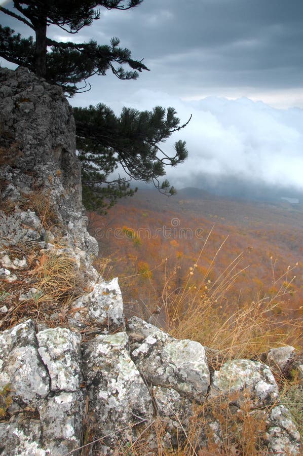 Mysterious rock stock image. Image of mist, landscape - 11778207