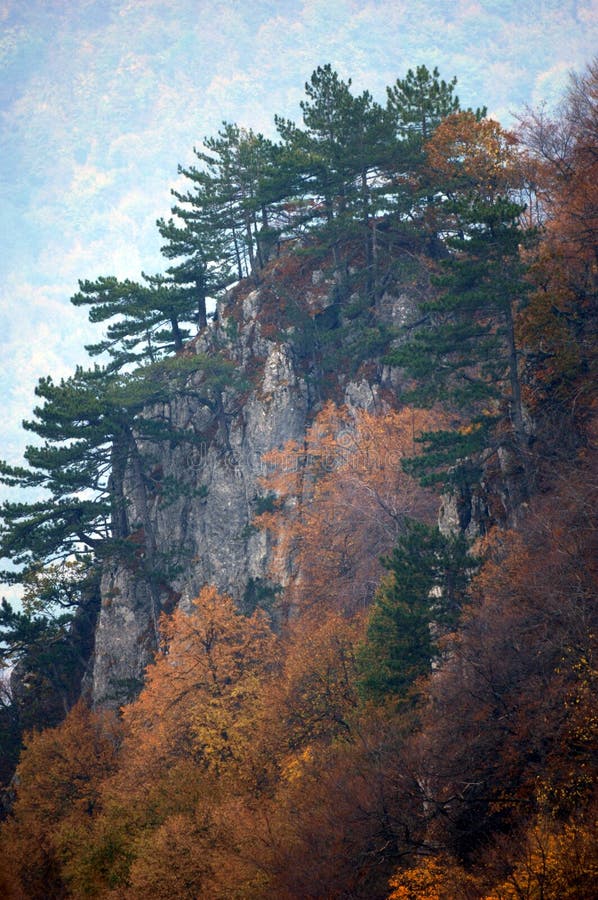 Mysterious rock stock photo. Image of nature, mystery - 11778302