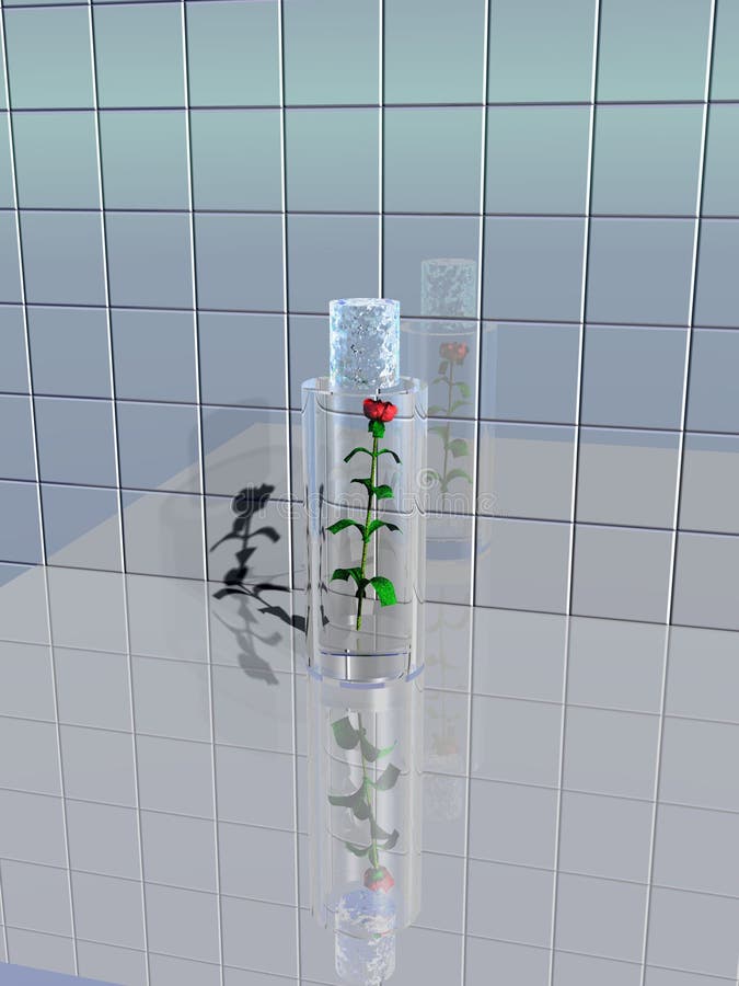 A Mysterious Rose Inside a Perfume Bottle Stock Illustration ...