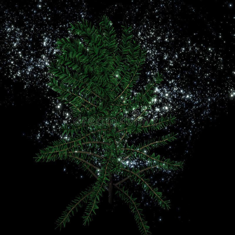Mysterious Tree Like a Pine Tree Stock Illustration - Illustration of ...