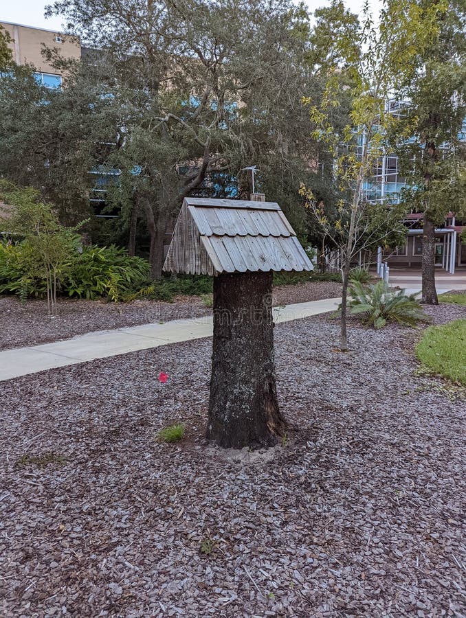Mysterious Tree Stump with Roof Stock Photo - Image of plant, park ...