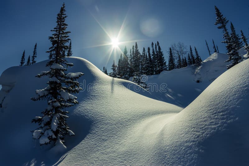 Mysterious Winter Landscape Mountains in Winter Trees Covered Snow ...