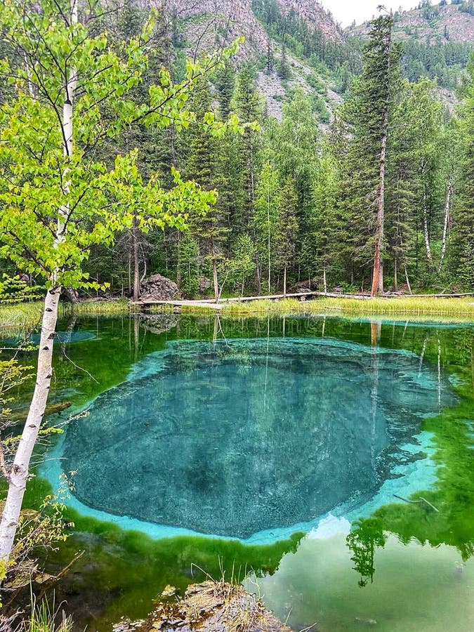 Mystery lake stock photo. Image of forest, mystery, gyser - 308276314