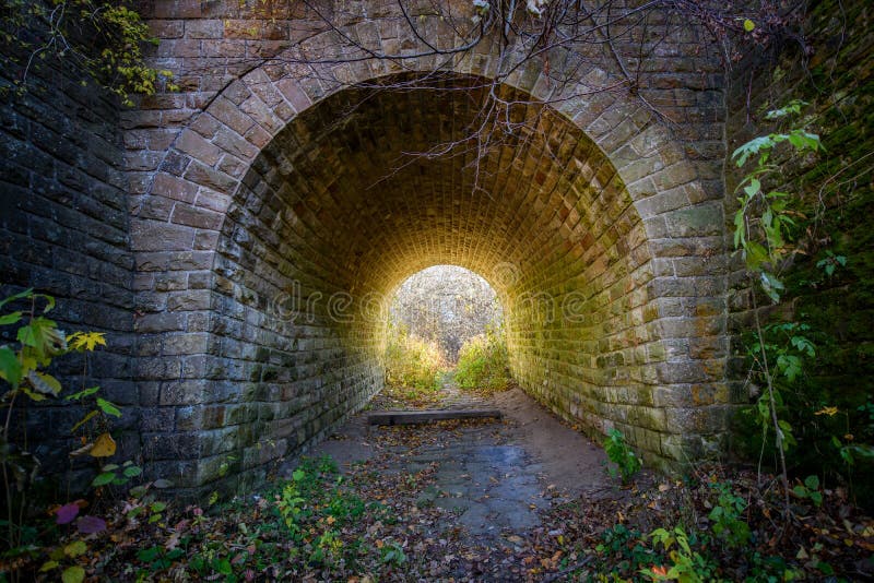 Mystery Stone Tunnel in the Autumn Forest Stock Photo - Image of forest ...