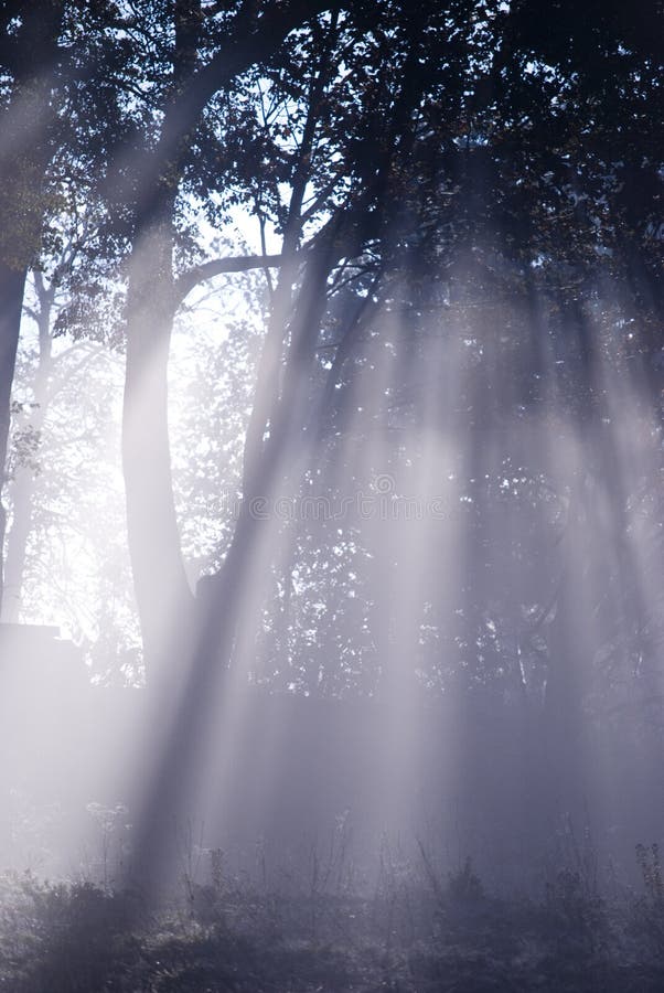 Mystic lights stock photo. Image of light, blue, mystical - 8130692