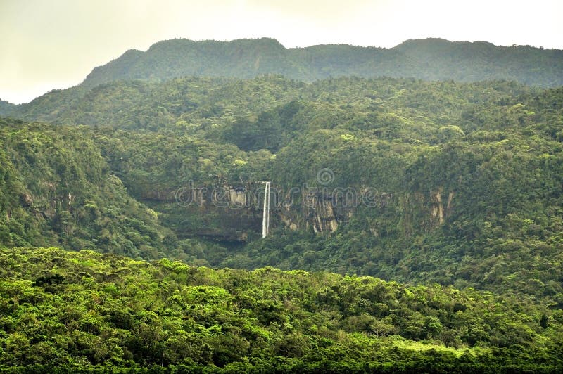 Mystic Jungle stock image. Image of forest, peaceful - 23188777