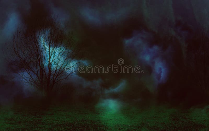 Mystic Night Forest stock illustration. Illustration of scenic - 99224023