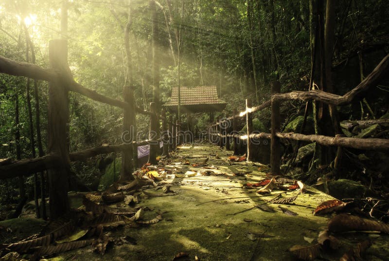 Mystic path stock image. Image of landscape, malaysia - 13999685