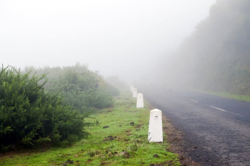 Mystic road stock photo. Image of magic, road, park, fairy - 13417466