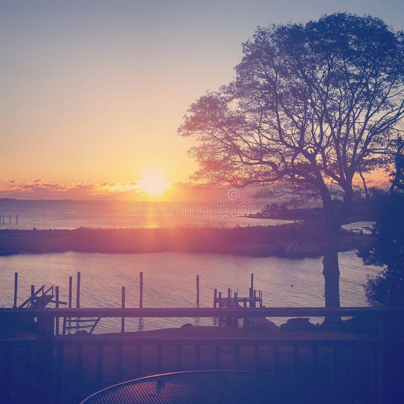 Mystic sunset stock photo. Image of sunset, tree, mysticct - 81294018