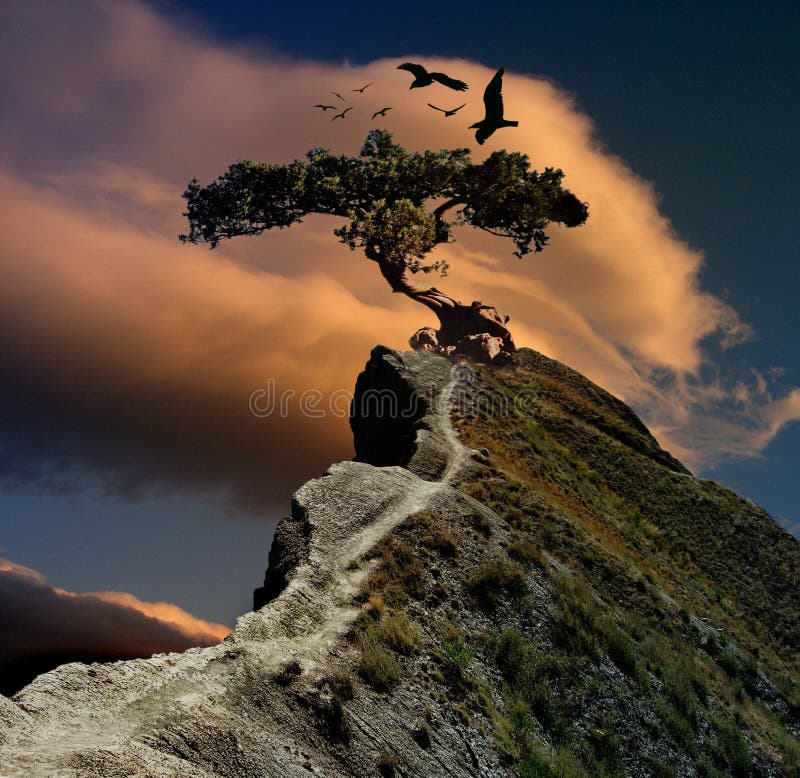 Mystic tree stock photo. Image of greenery, blue, mountain - 10436978