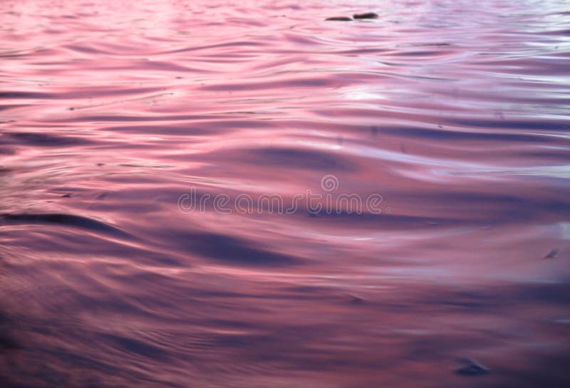 Mystic wave in sunlight stock photo. Image of water - 131092558