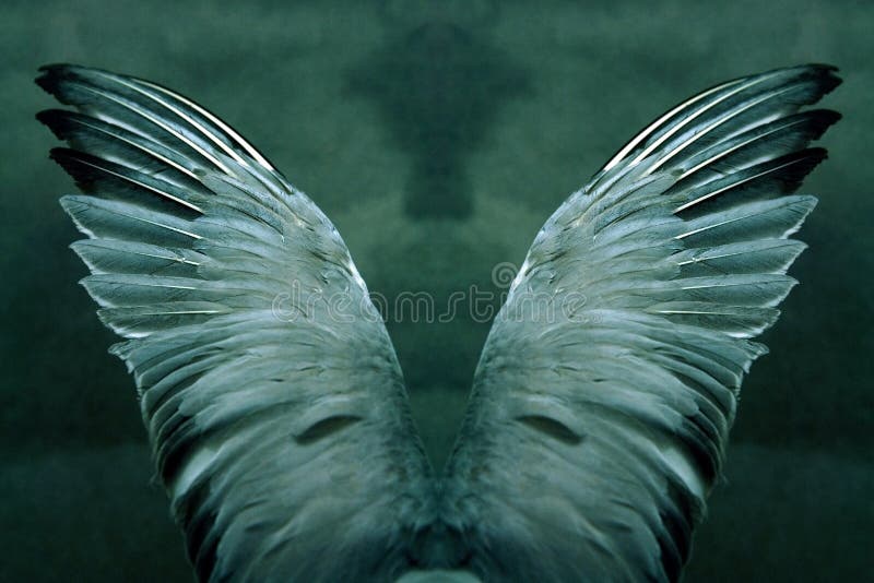 Wings matching stock illustration. Illustration of mysticism - 20354567