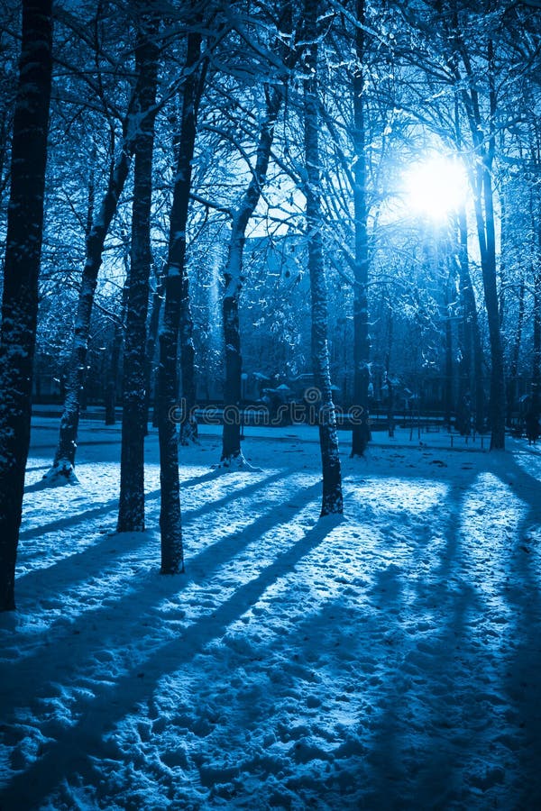 Mystic winter stock photo. Image of cold, woods, landscape - 3712378