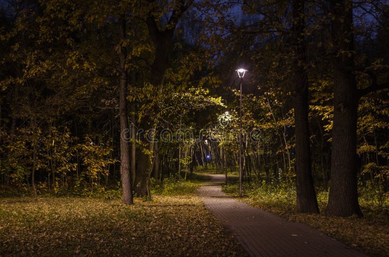 Mystical Trail in the Night Forest in the Park with Glowing Lanterns ...