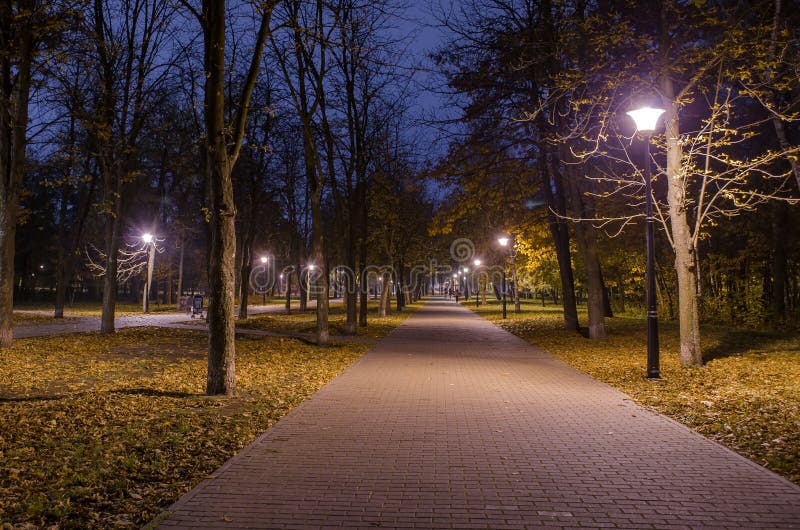 Mystical Footpath in the Night Forest in the Park with Glowing Lanterns ...