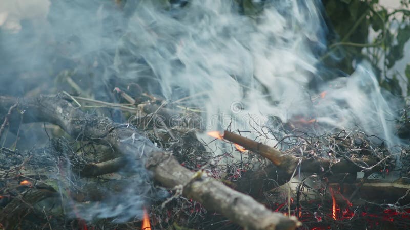 Mystical Fraternal Rite on the Blood of Two Warriors. the Priestess and ...