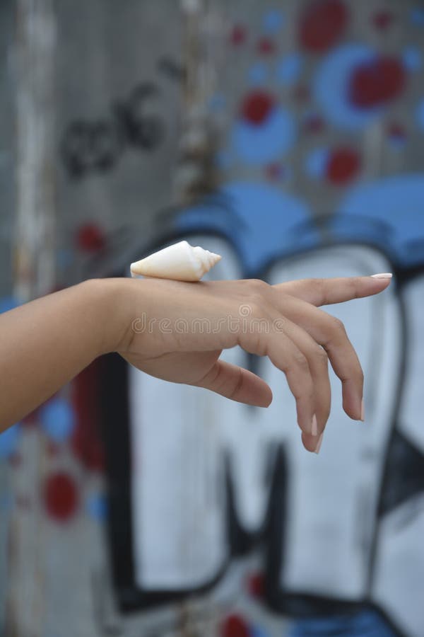 Hand with Sea Shell in the Beach Stock Image - Image of hand, hold ...