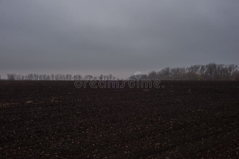 Mystical Landscape Foggy Landscape of Trees and Fields Minimalism Stock ...