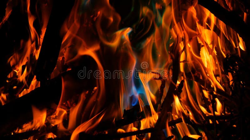 Mystical Magic Rainbow Fire Changes Color To Multicolor Flames. Bonfire ...