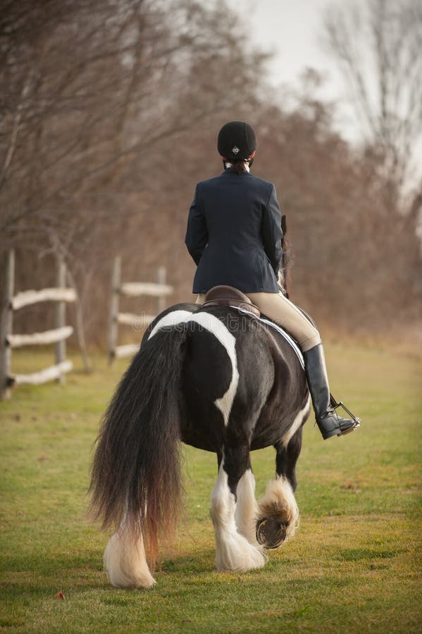 Female English Horseback Rider Equestrian Riding Large Black and White ...