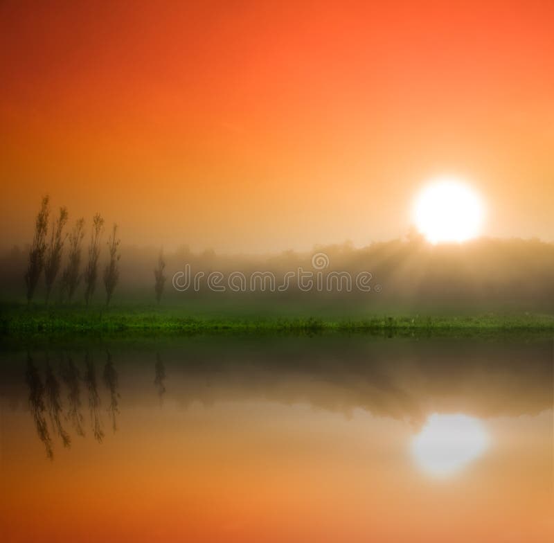 Mystical stock image. Image of forest, mystic, environment - 2572089