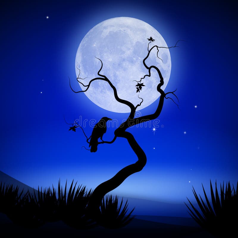 Mystical Night with Full Moon, Tree and Raven Stock Illustration ...