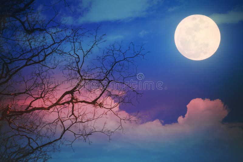 Mystical night sky stock image. Image of magic, cloudy - 167166229