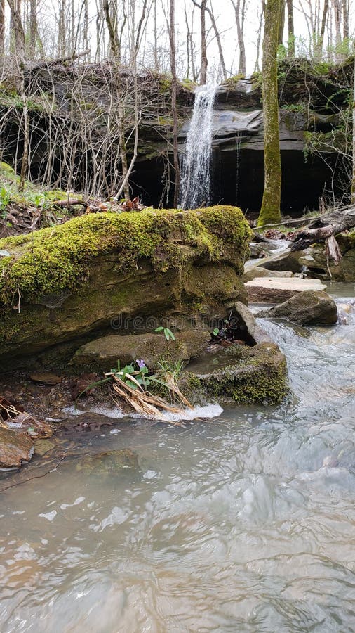 Mystical Overgrown Waterfall Stock Image - Image of waterfall, natural ...