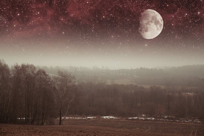 Spring Night Wallpaper