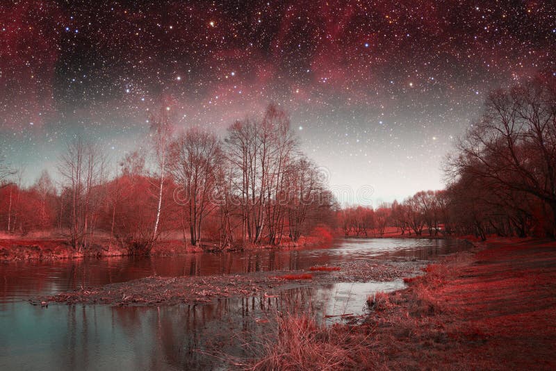 Spring Night Wallpaper