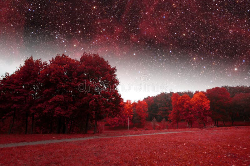 Mystical spring night. stock image. Image of forest, colorful - 38392655