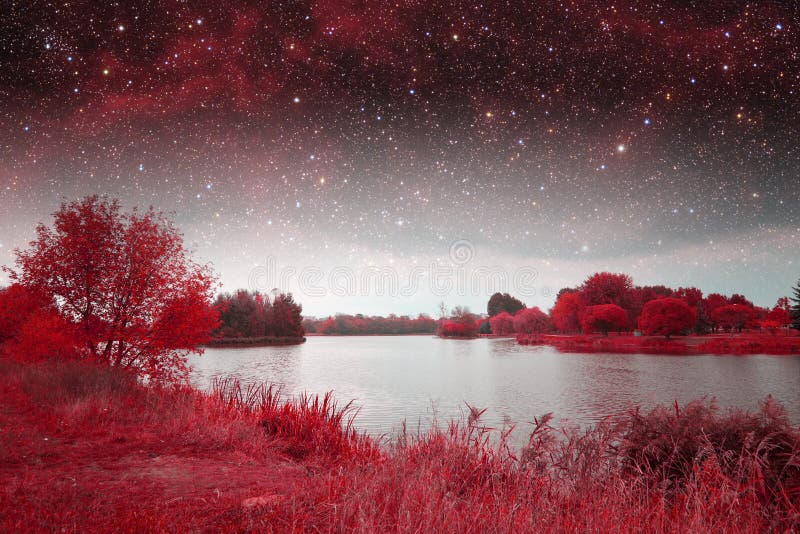 Magic lake stock image. Image of noon, pleasance, leaf - 828597