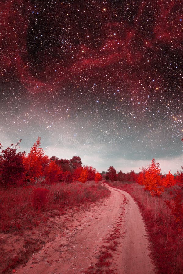 Mystical spring night. stock image. Image of orange, europe - 38392657