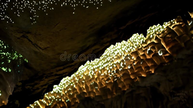 A Mystical View Inside a Glowworm Cave. Stock Video - Video of glowing ...