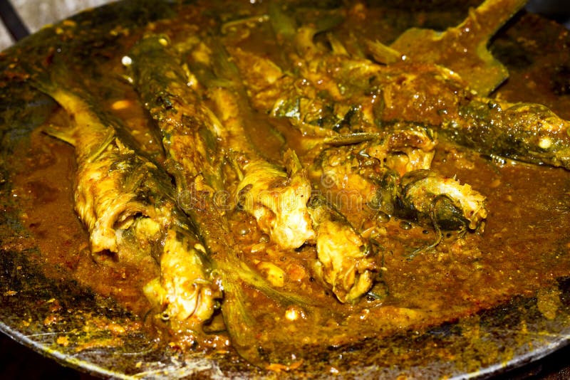 Mystus fish stock image. Image of fish, nature, eatable - 243749025