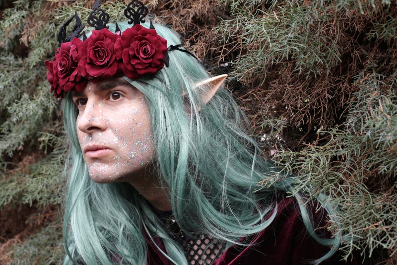 Mythical Male Elf in the Forest Stock Photo - Image of forest, fairy ...