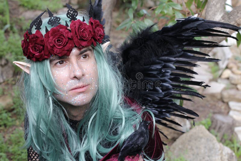 Mythical Male Elf in the Forest Stock Image - Image of magical ...